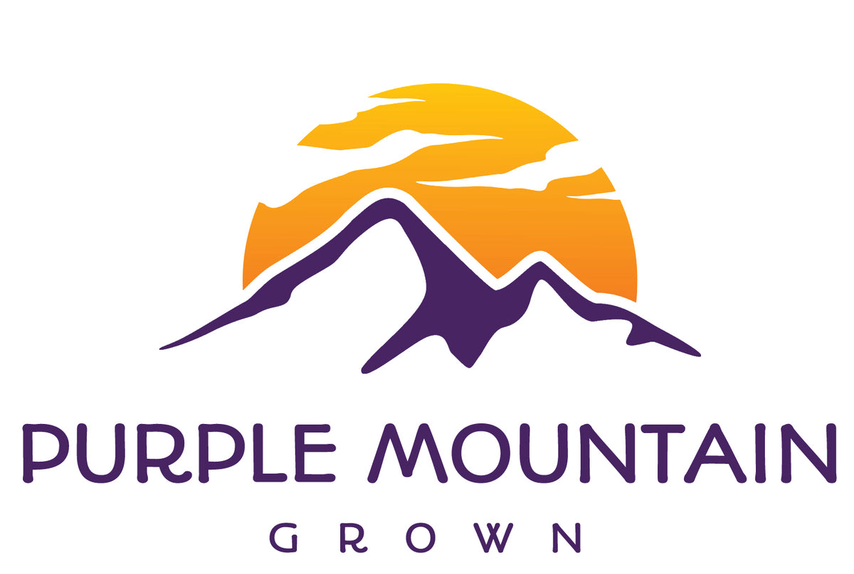 About Us – Purple Mountain Grown